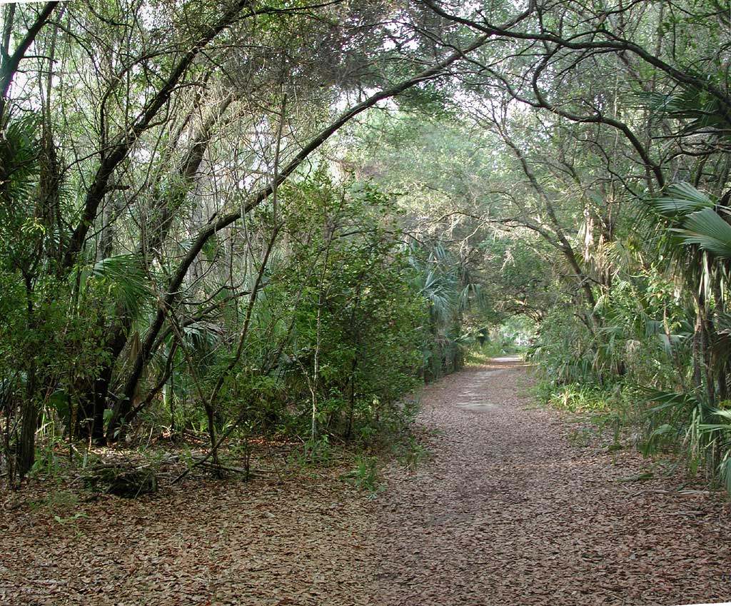 Locations Hub - AD Barnes Park - Nature Center