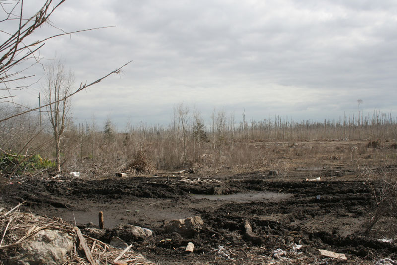 Locations Hub - Bird Drive Basin