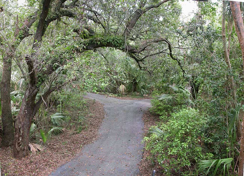 Locations Hub - AD Barnes Park - Nature Center