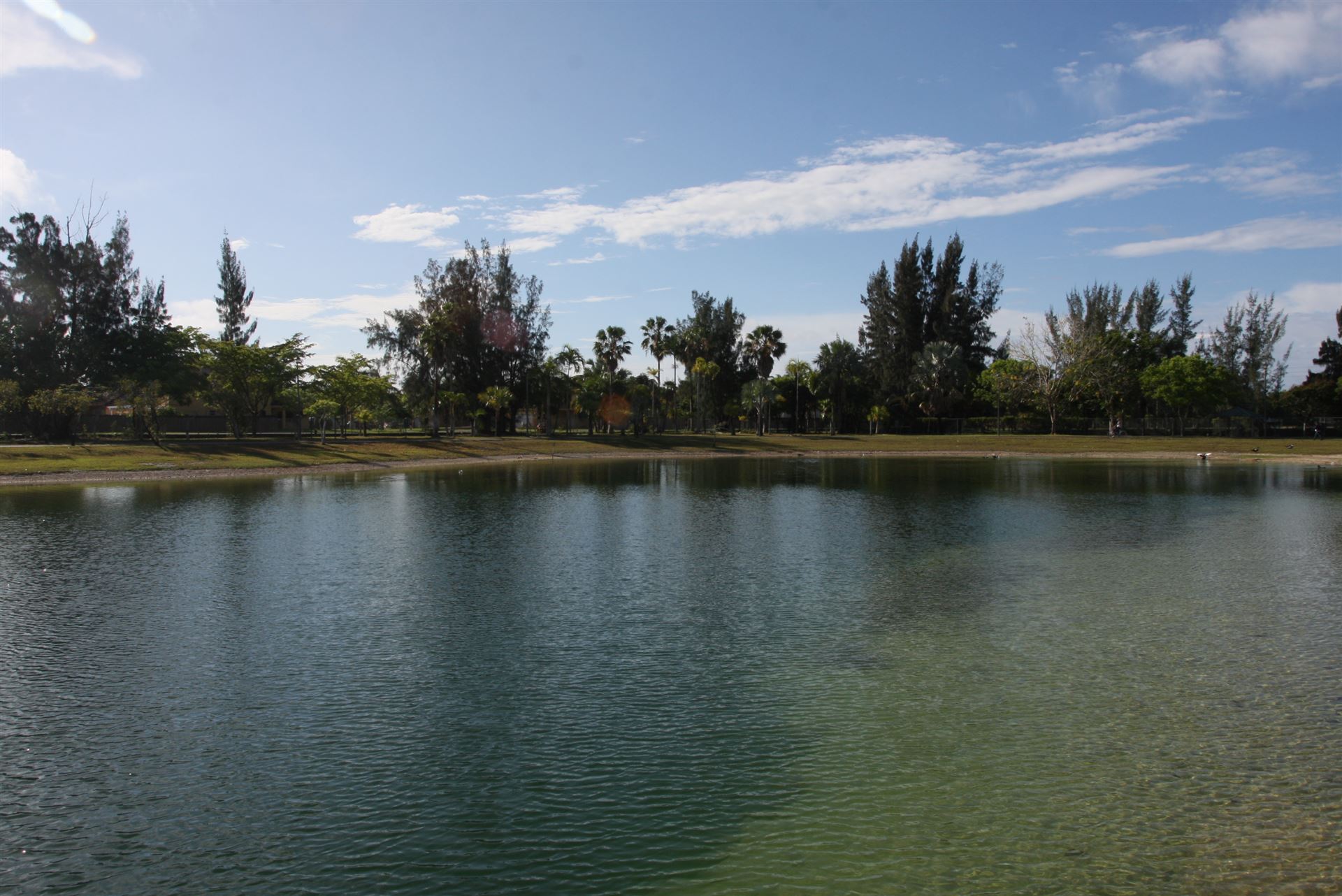 Locations Hub - Willie Fasulo Park