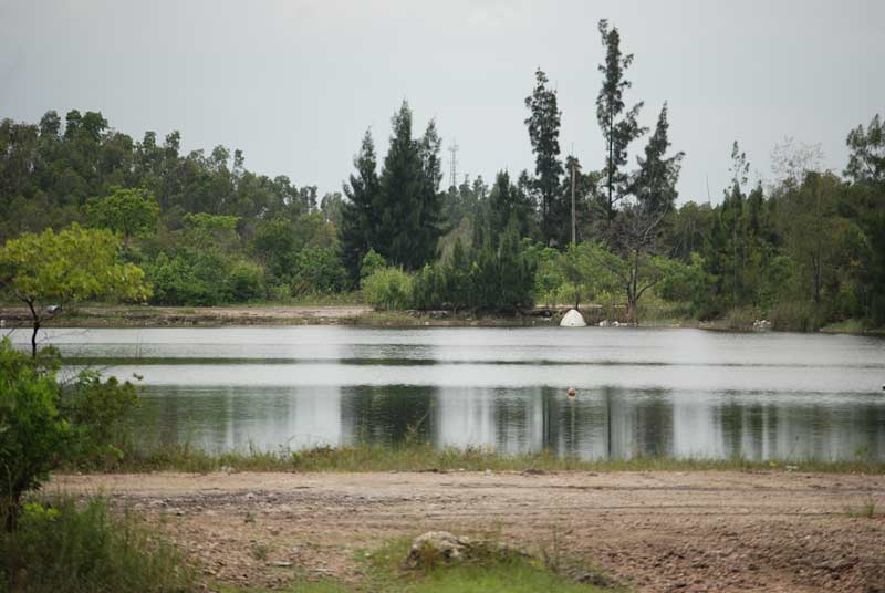 Locations Hub - Bird Drive Basin
